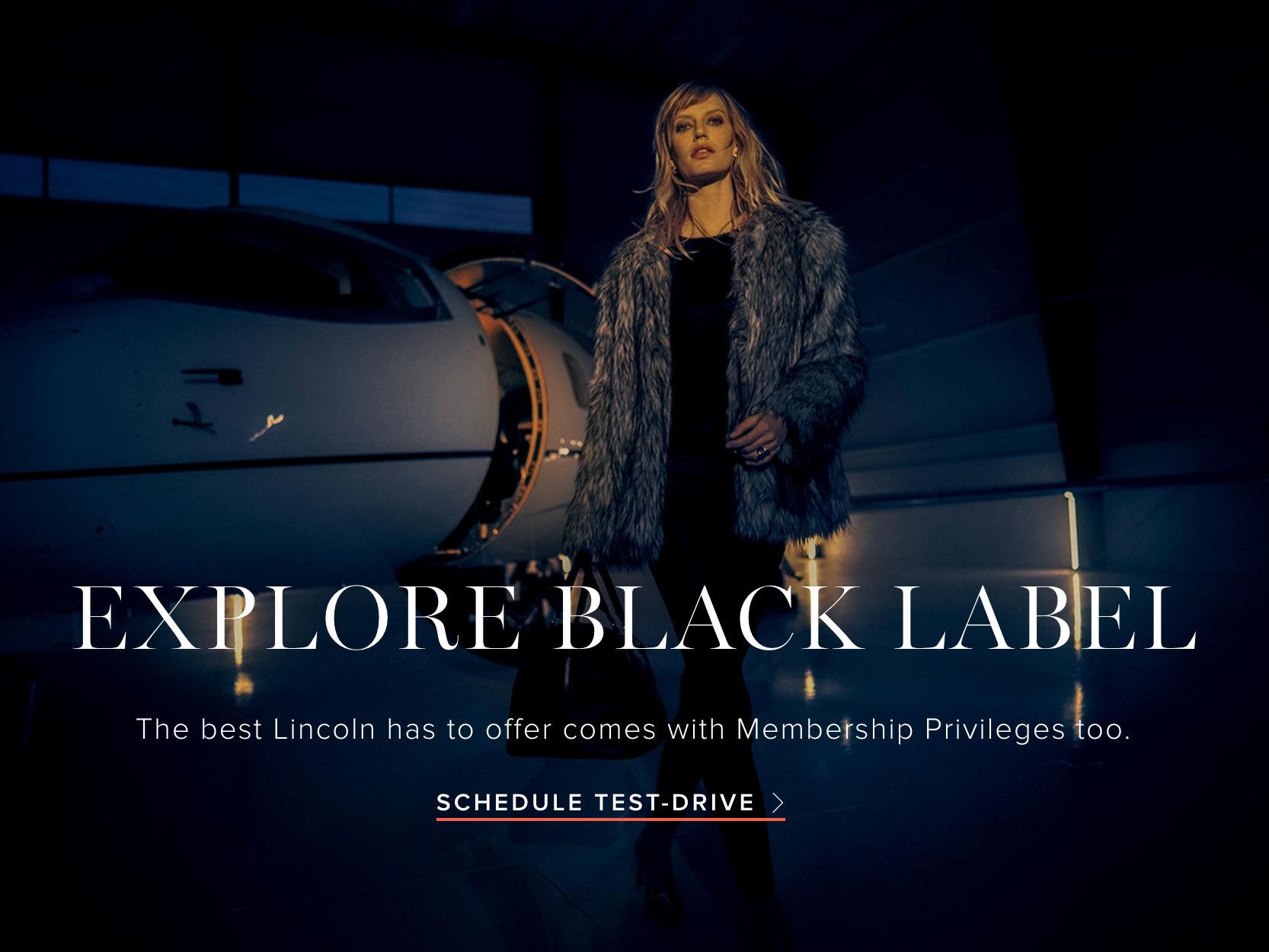 Lincoln: Tailoring a license for a global brand | Custom type · Type ...